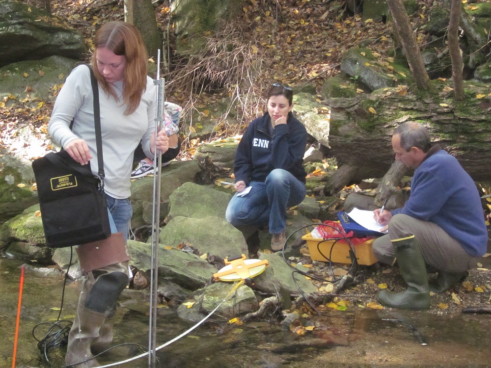 StreambedTempResults